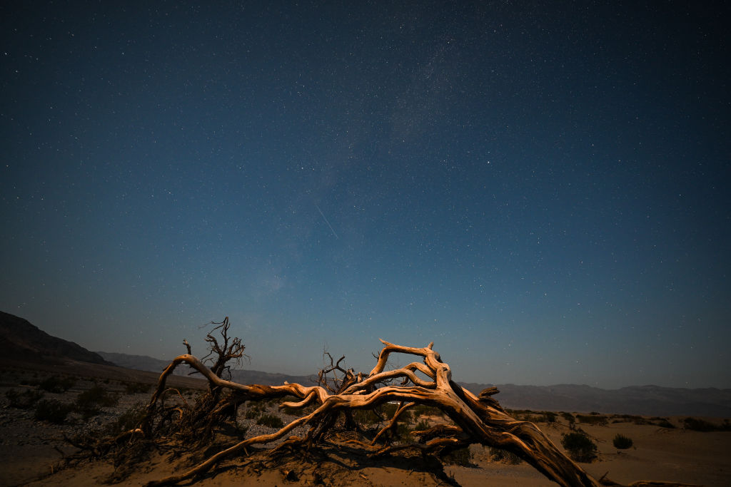 The Inspiration Behind 'Mojabi Ghost' - los40.us