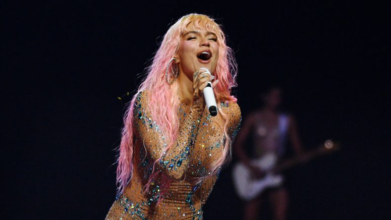 Karol G's 'Si Antes Te Hubiera Conocido': Meaning, English Lyrics ...