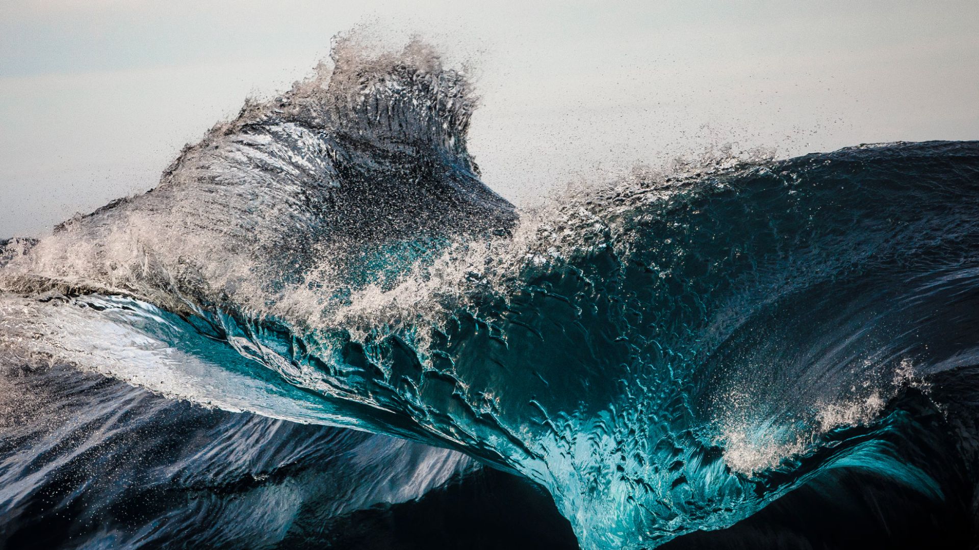 The Zodiac Elements: Key Characteristics of Water, Air, Fire, and Earth ...