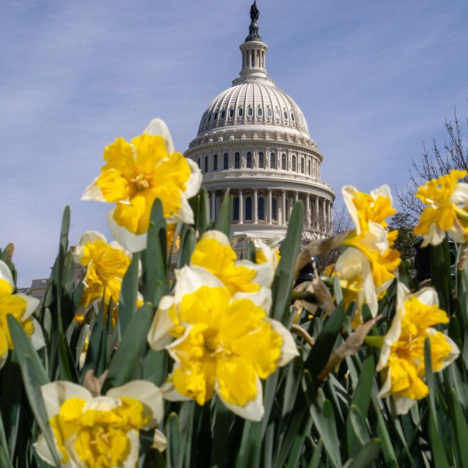 Spring 2025 in the US: What Date Marks the First Day and Why Does It ...