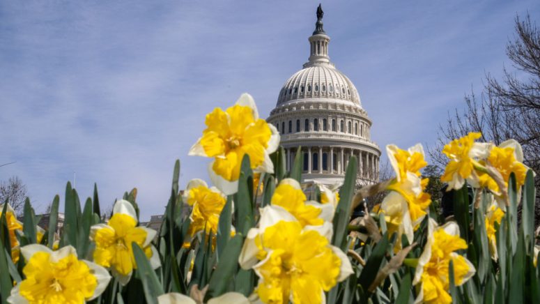 Spring 2025 in the US: What Date Marks the First Day and Why Does It ...